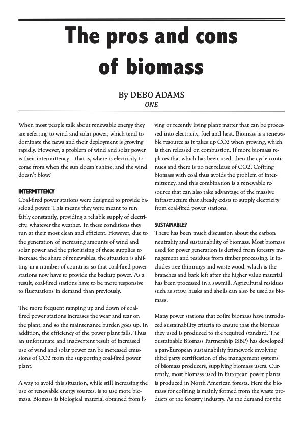 The pros and cons of biomass - ONE Only Natural Energy