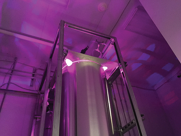 A Breakthrough Carbon-Capturing Algae Project - ONE Only Natural Energy