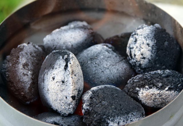 Five things to know about briquettes and sustainable bioenergy in ...