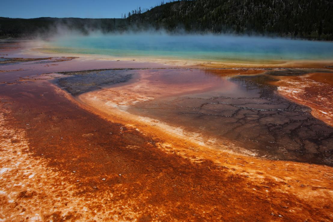 Extremophiles could hold clues for climate change-tackling technologies ...