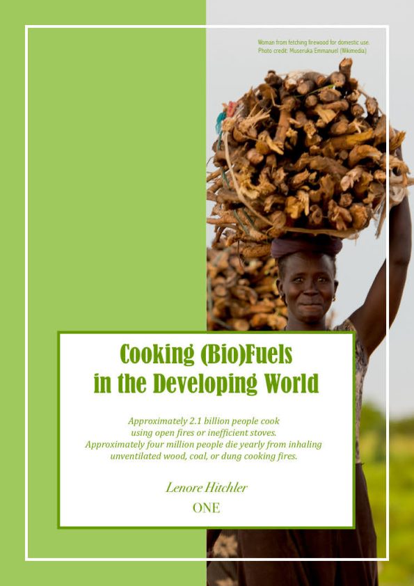 Cooking (Bio)Fuels in the Developing World - ONE Only Natural Energy