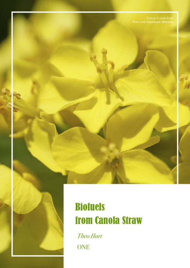 Biofuels From Canola Straw - ONE Only Natural Energy