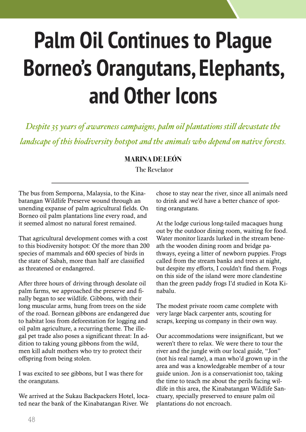 Palm Oil Continues to Plague Borneo’s Orangutans, Elephants, and Other ...